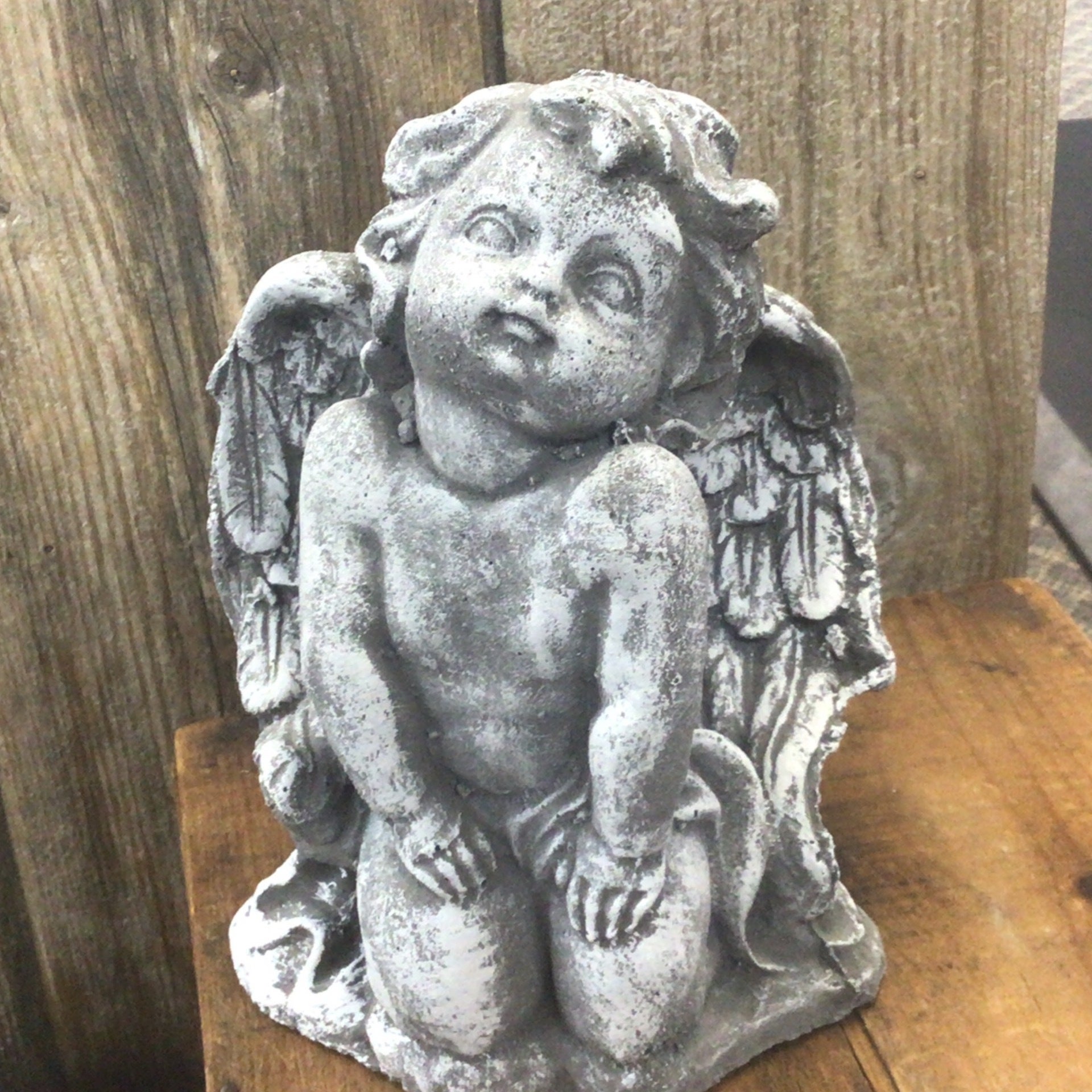 SU- Small, Kneeling angel looking up | Farmhouse & Flowers